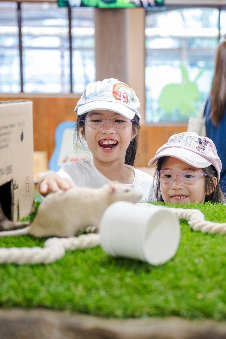 儿童世界 - 新加坡动物园